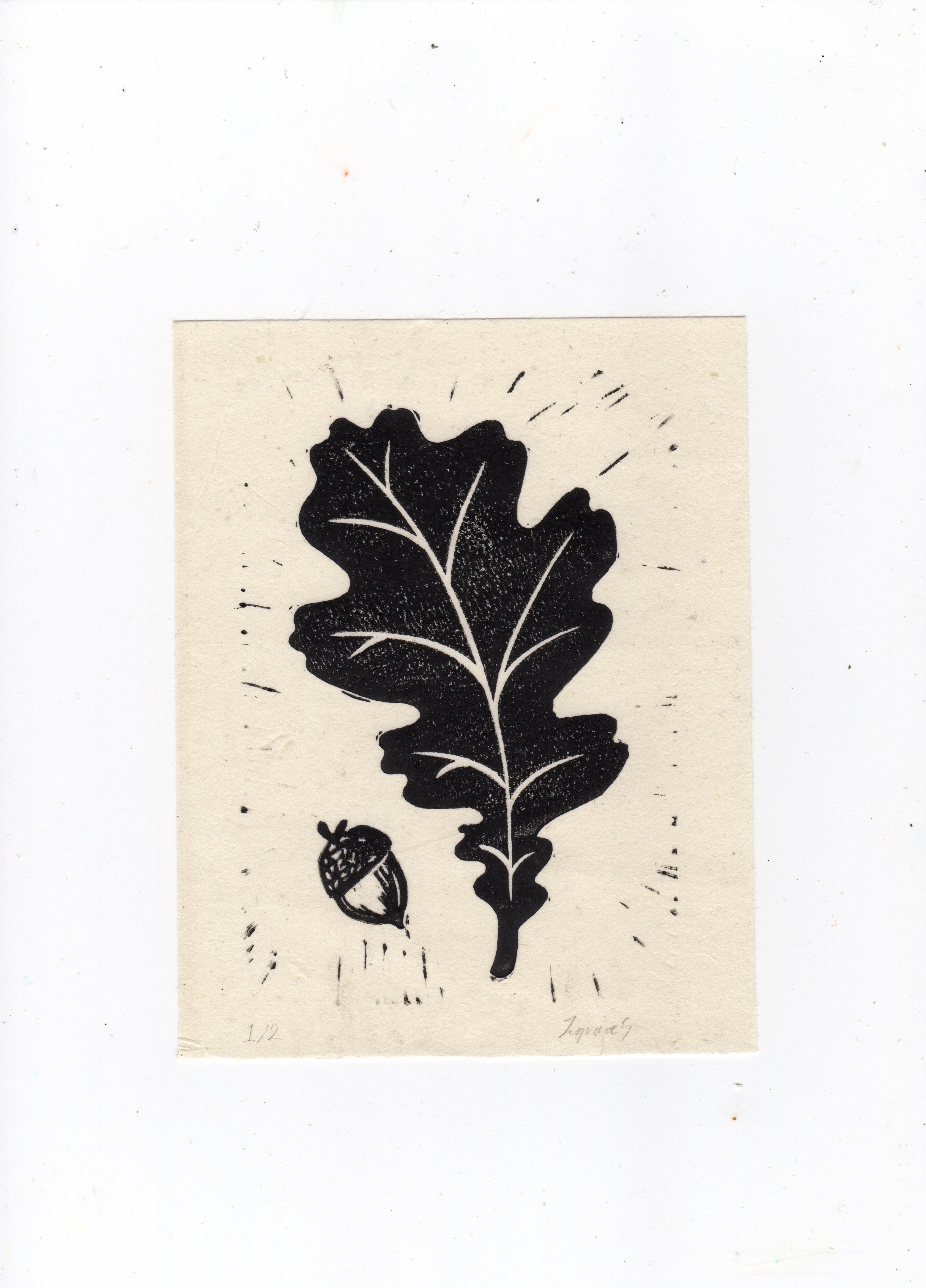 Oak Leaf and Acorn Original Lino Print – Lydia Grace Studios